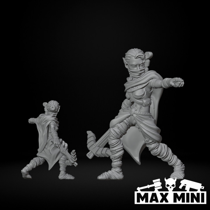 3D Printable Desert Elf Shadows by Max Mini