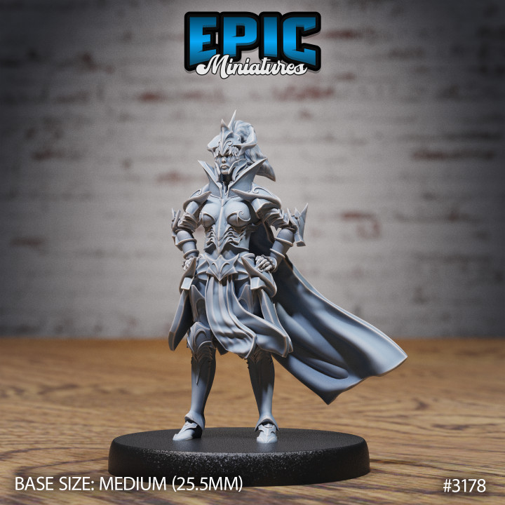 3D Printable Hunters Guild Female Knight / Dragon Hunter / Beast Tamer ...