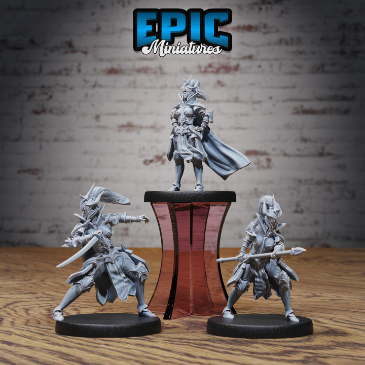 3D Printable Hunters Guild Female Knight Set / Dragon Hunter / Beast ...