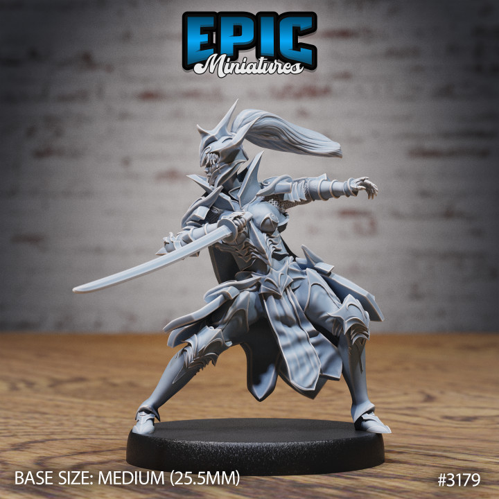 3D Printable Hunters Guild Female Knight Set / Dragon Hunter / Beast ...