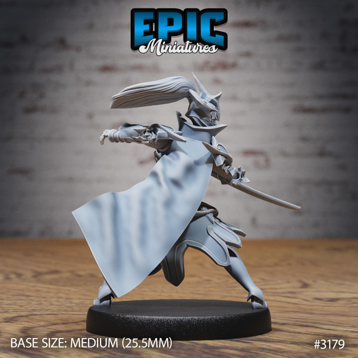 3D Printable Hunters Guild Female Knight Set / Dragon Hunter / Beast ...