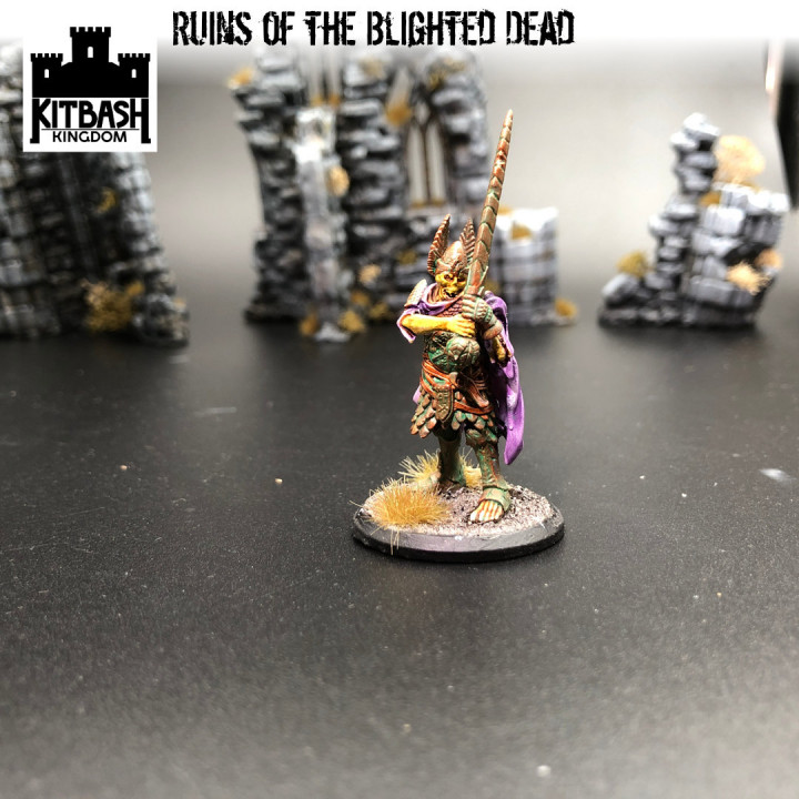 3D Printable Ruins of the Blighted Dead - Miniatures by kitbash kingdom