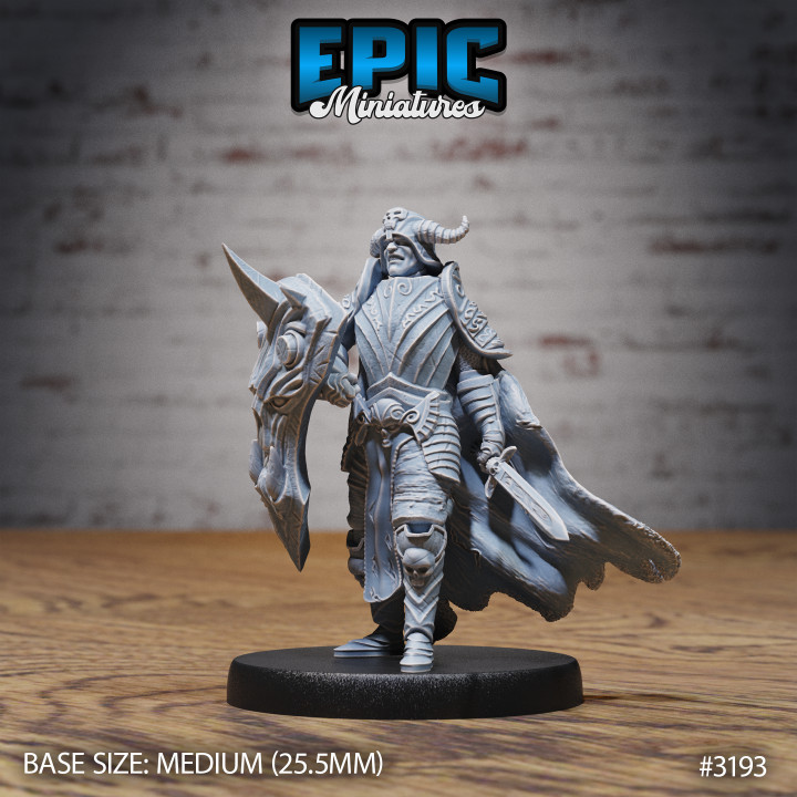 3D Printable Hunters Guild Drake Knight Set / Dragon Hunter / Beast ...