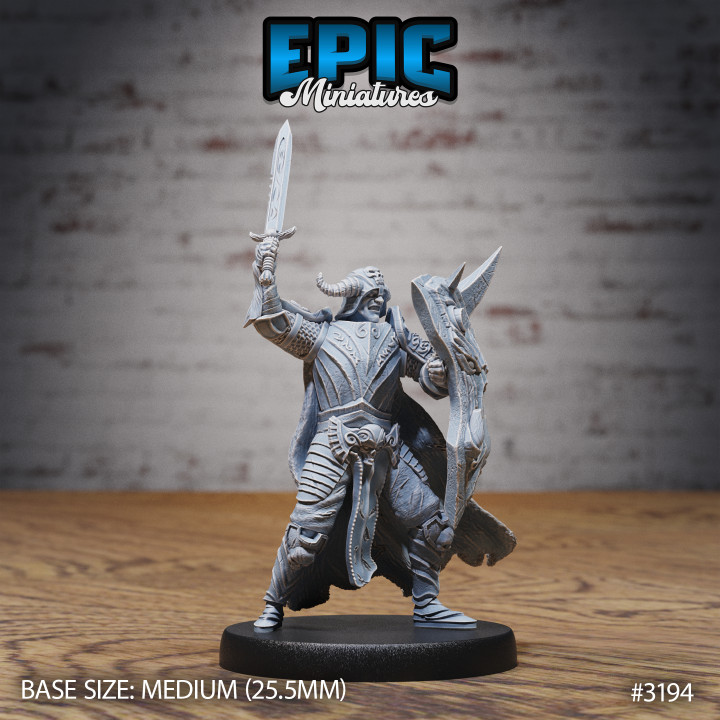 3D Printable Hunters Guild Drake Knight Set / Dragon Hunter / Beast ...