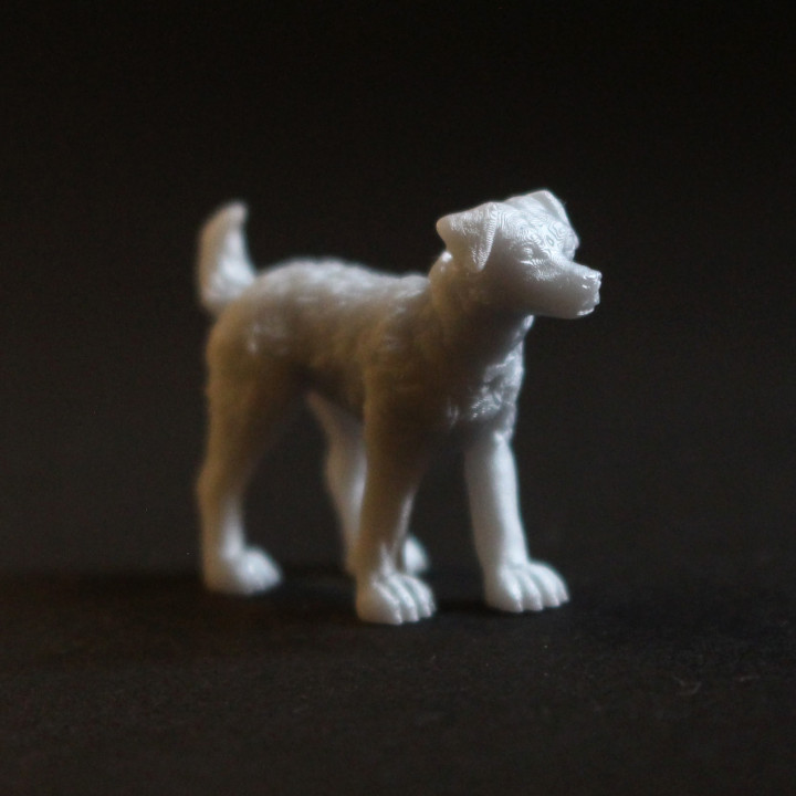 3D Printable Dog by Safehold