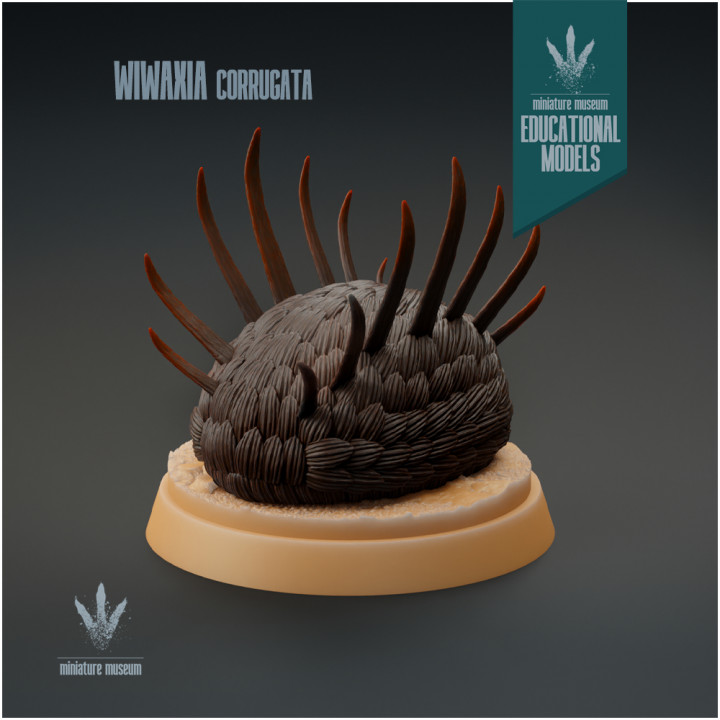 3D Printable Wiwaxia corrugata : Armoured Slug-like Organism by ...