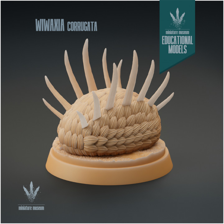3D Printable Wiwaxia corrugata : Armoured Slug-like Organism by ...