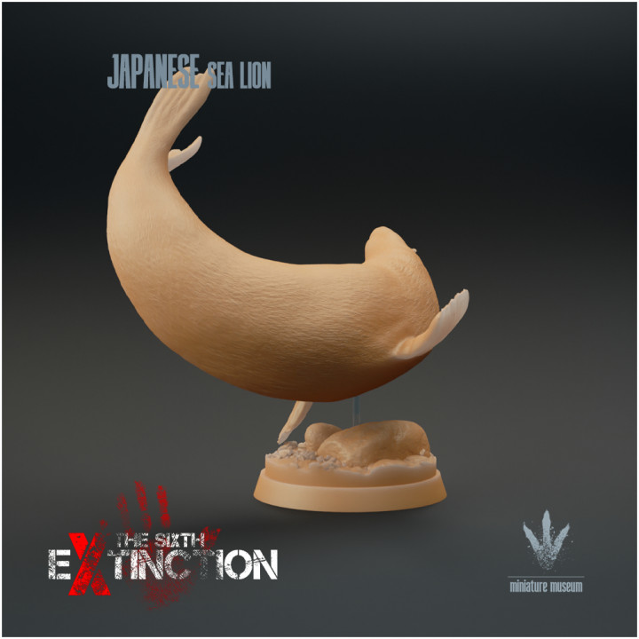 3D Printable Japanese Sea Lion : Graceful Swimmer by Miniature Museum