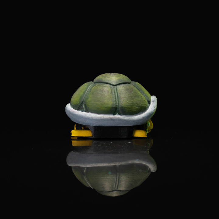 3D Printable Retractable Sleepy Turtle by Stlflix