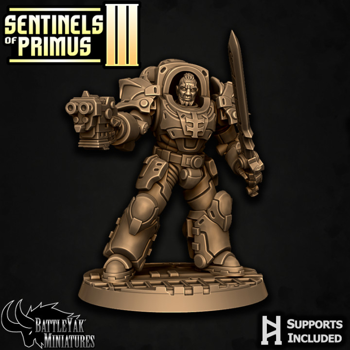 3D Printable Sentinel-Paladin Ranged Warrior E by Battle Yak Miniatures