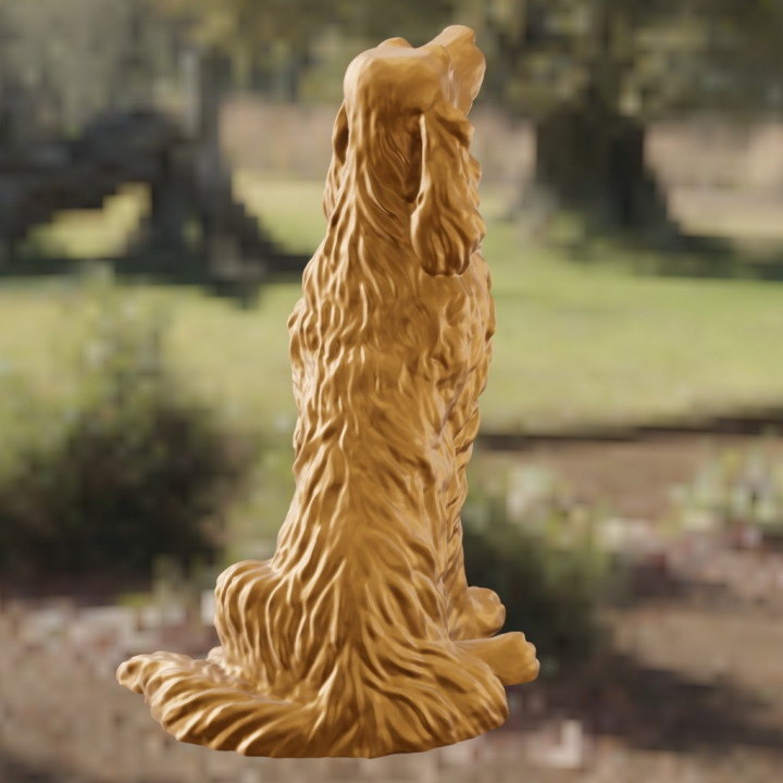 3D Printable Setter anglais by anthony