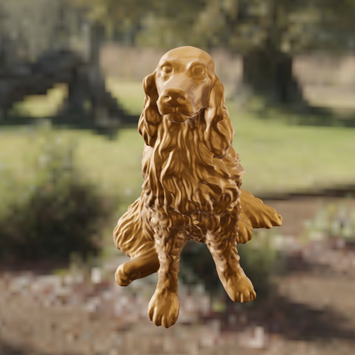 3D Printable Setter anglais by anthony