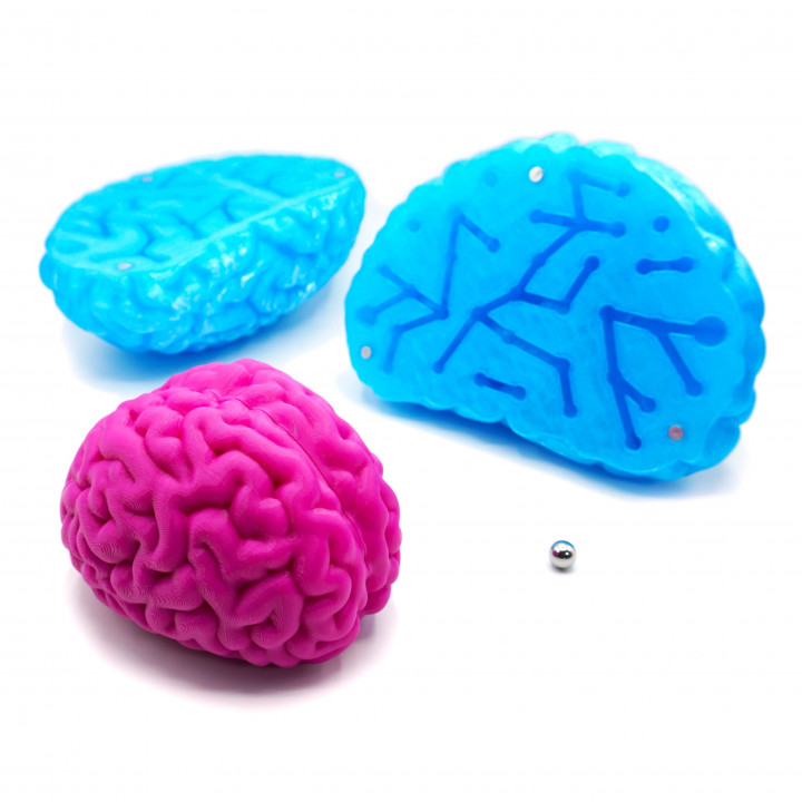 3D Printable Brain Constellation Maze by McGybeer