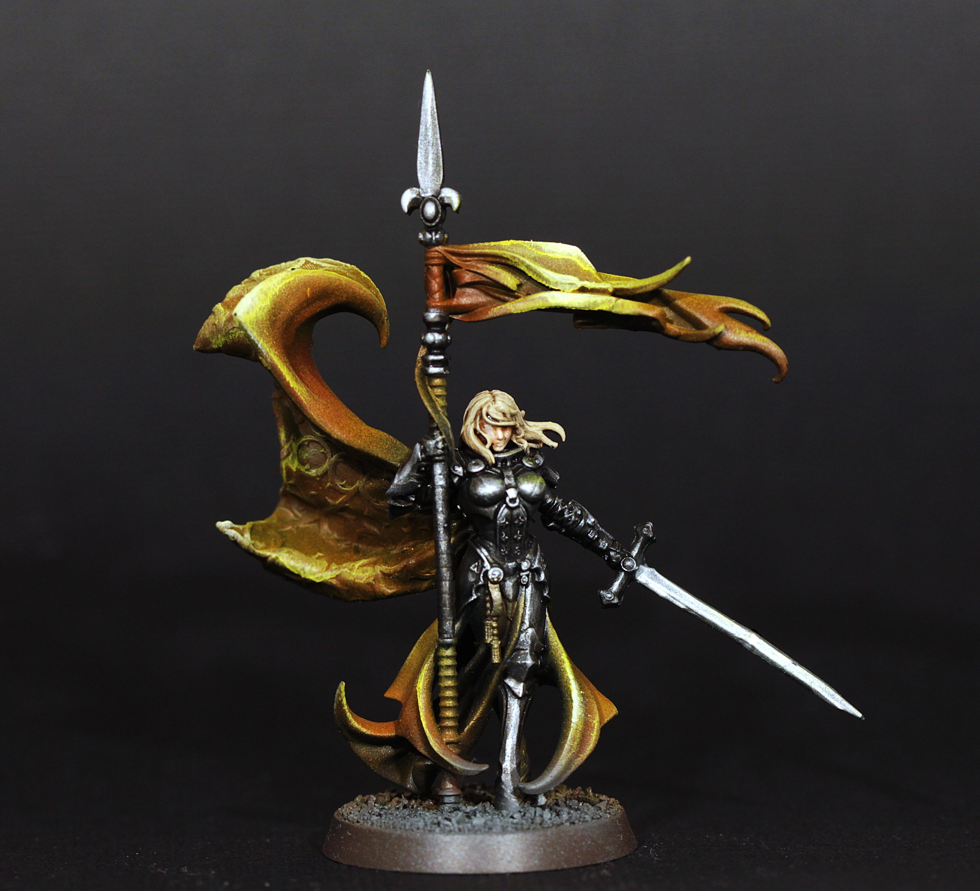 3D Printable Vardaniel Seridan Paladin of the Bright Star by Heroes ...