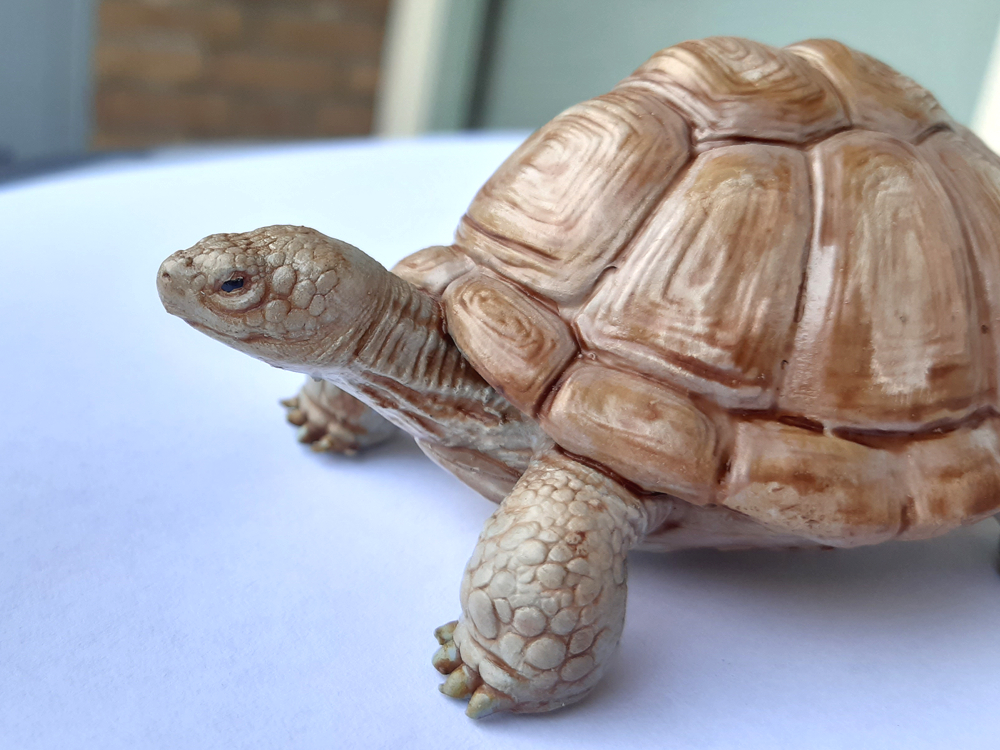 3D Printable TORTOISE by YD STUDIO