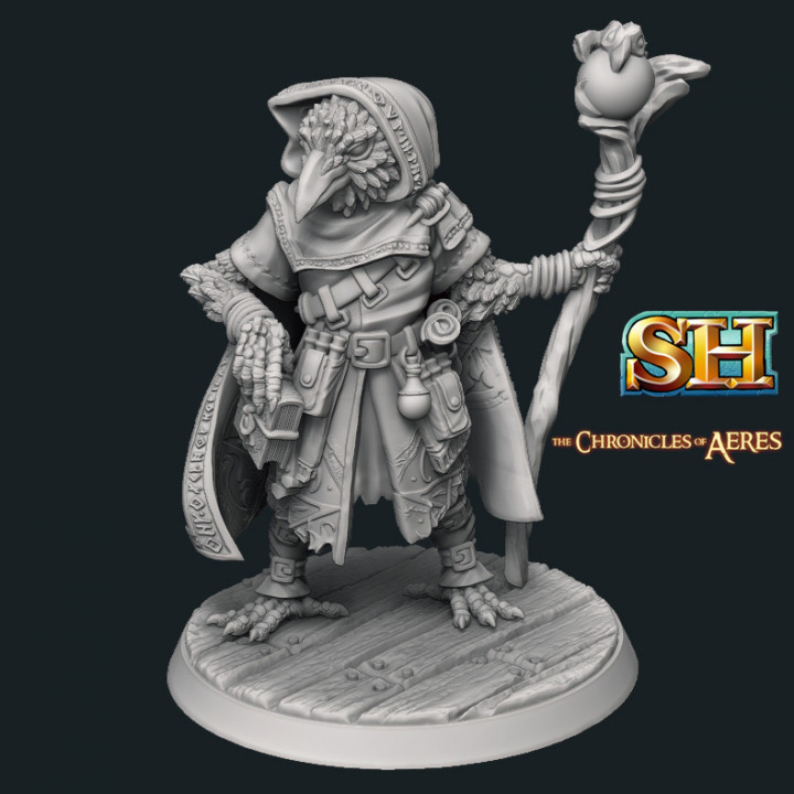 3D Printable Kenku Wizard by Stonehaven Miniatures