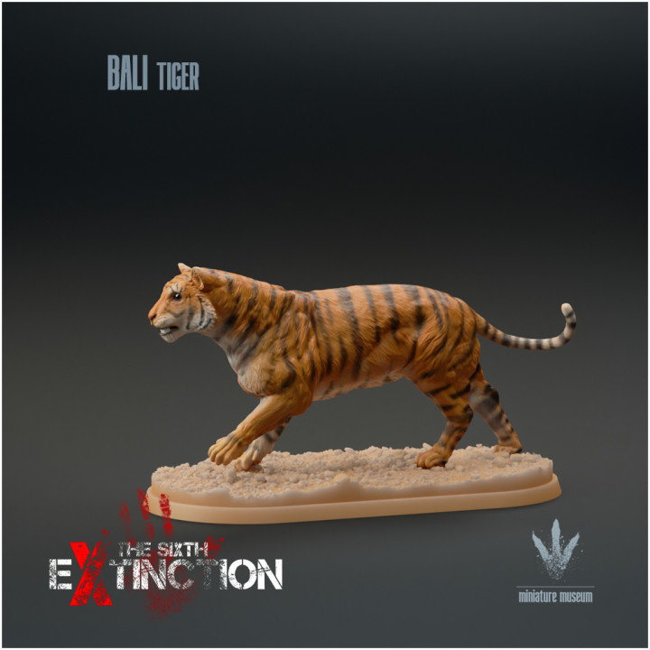 3D Printable Bali Tiger : Running by Miniature Museum