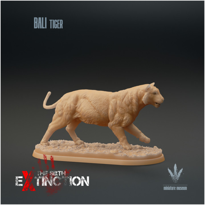 3D Printable Bali Tiger : Running by Miniature Museum