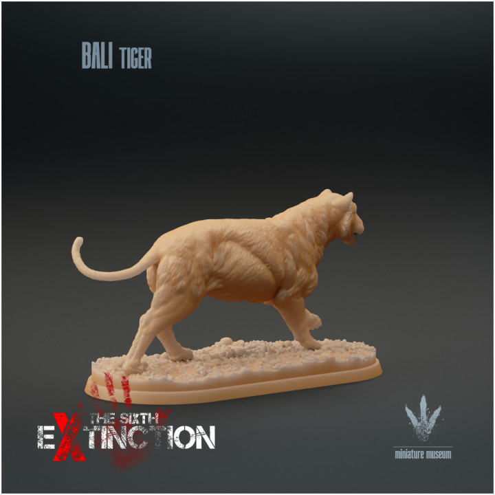 3D Printable Bali Tiger : Running by Miniature Museum