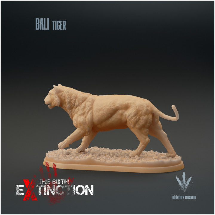 3D Printable Bali Tiger : Running by Miniature Museum