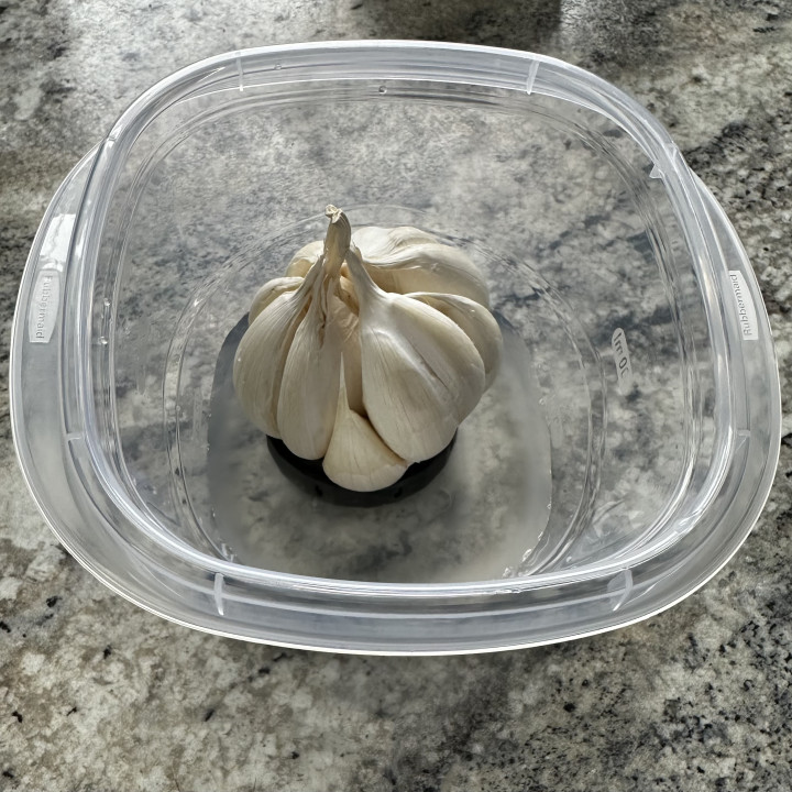 3D Printable Bulb plant sprouter by Travis Dutton