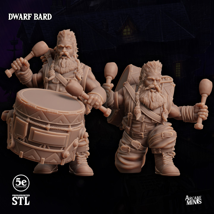 3D Printable Dwarf Bard - Pirate by Sordane Publishing