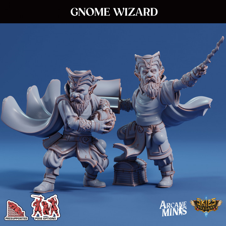 3D Printable Gnome Wizard - Pirate by Sordane Publishing