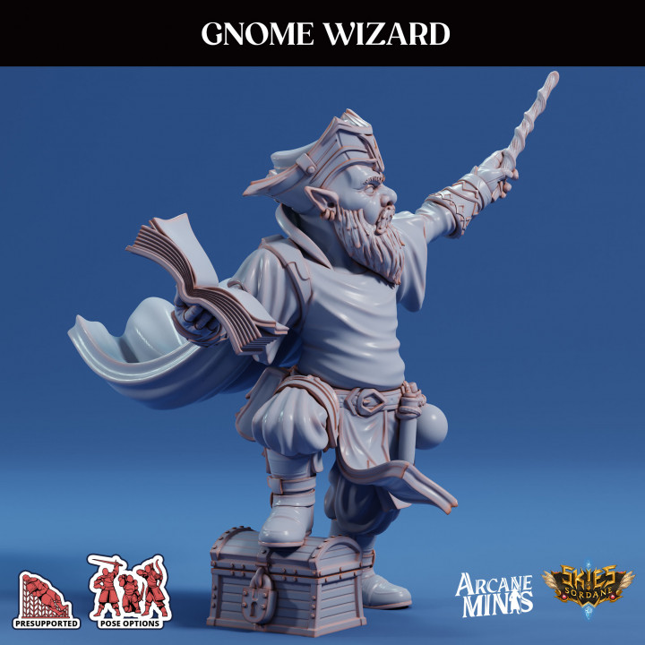 3D Printable Gnome Wizard - Pirate by Sordane Publishing