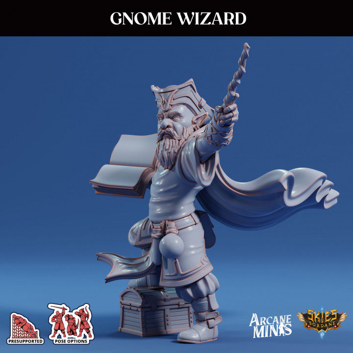 3D Printable Gnome Wizard - Pirate by Sordane Publishing