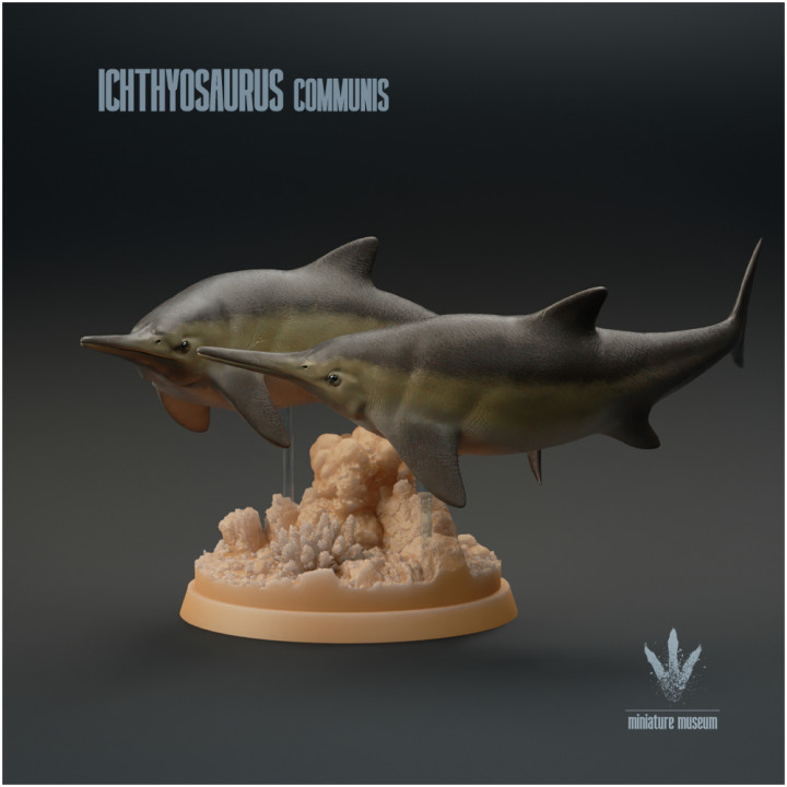 3D Printable Ichthyosaurus communis : Swimming by Miniature Museum