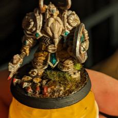 3D Printable Dwarf Heritage Defender by My3DPrintForge