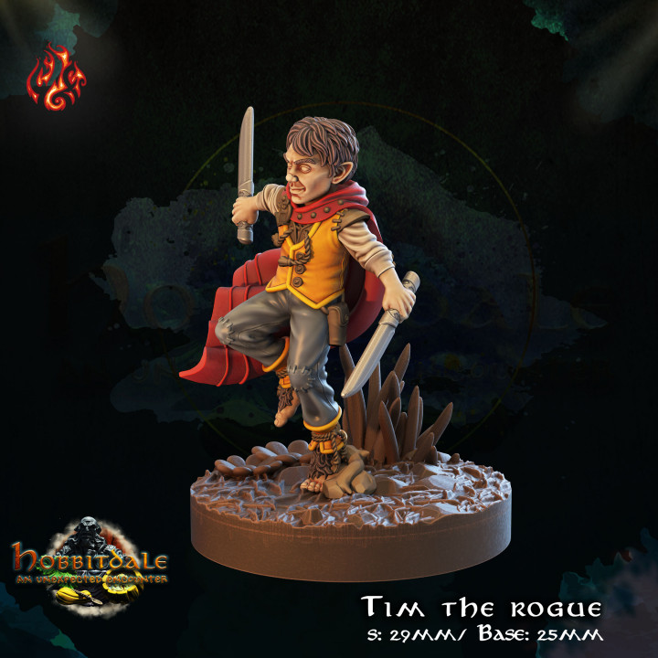 3D Printable Tim the rogue by Crippled God Foundry