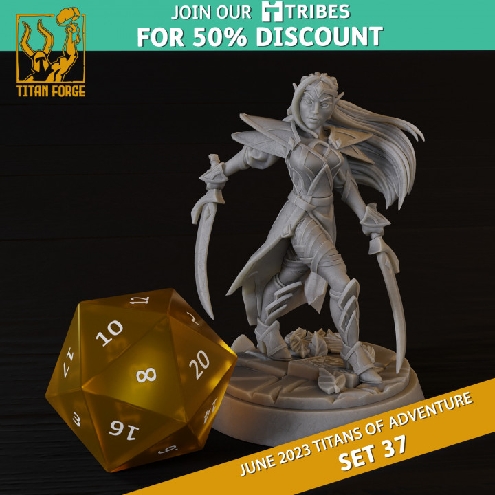 3D Printable RPG - DnD Hero Characters - Titans of Adventure Set 37 by ...