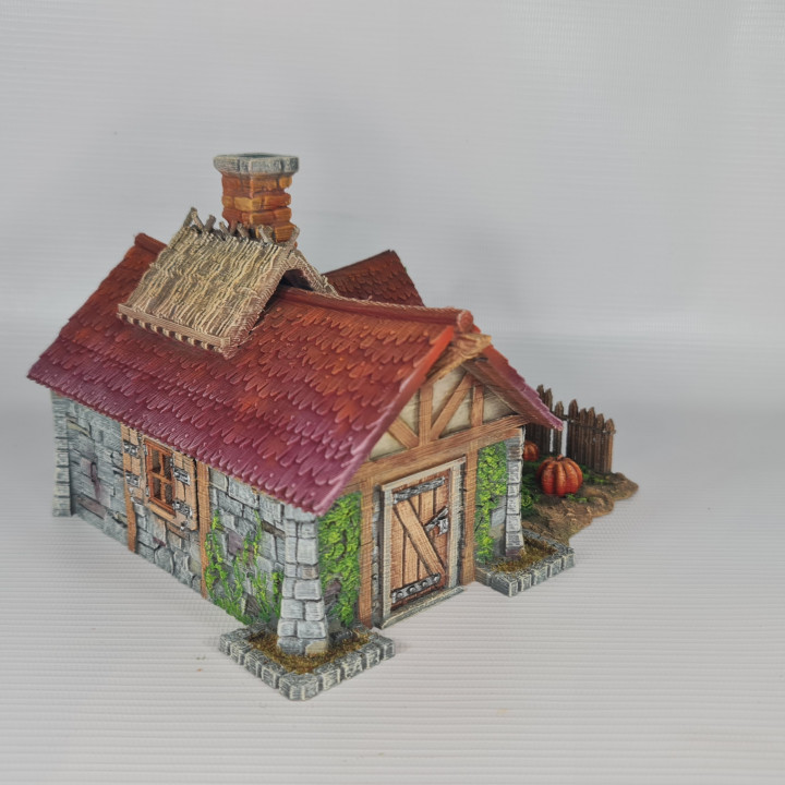 3D Printable Pumpkin Cottage - Medieval Town Set by Adrian