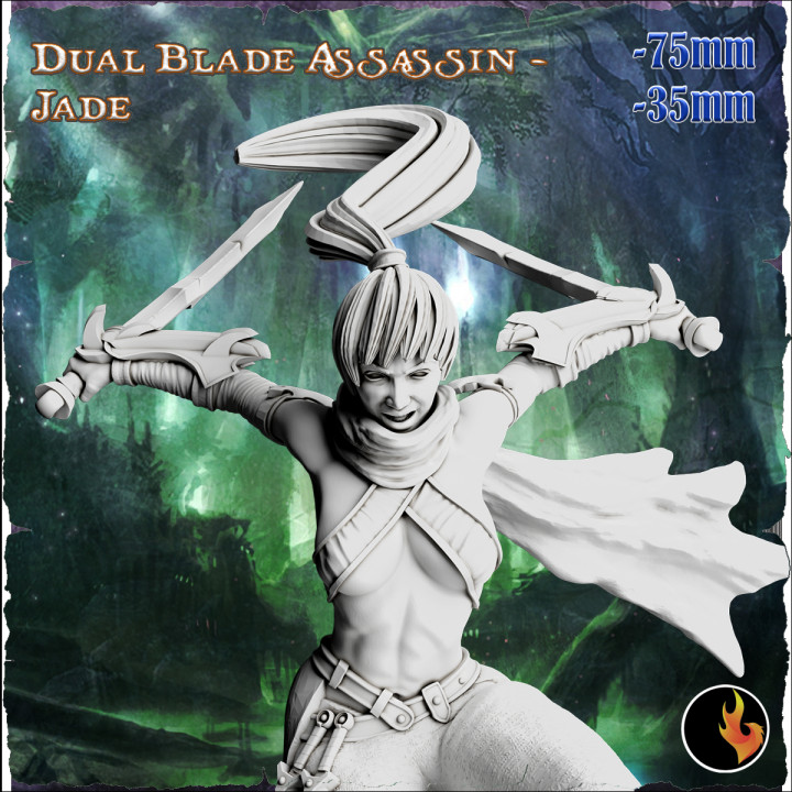 3D Printable Jade Assassin Rogue Blade Fighter - Jade Assassin Rogue ...