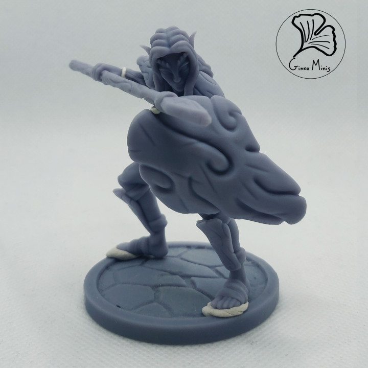 3D Printable Farlen the wood elf warrior#2 by Ginko Minis