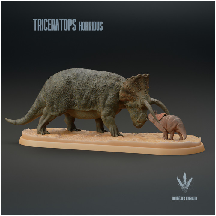 3D Printable Triceratops horridus : Three-horned Face by Miniature Museum