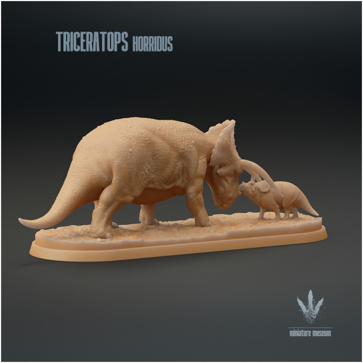 3D Printable Triceratops horridus : Three-horned Face by Miniature Museum