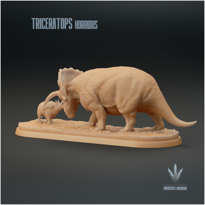3D Printable Triceratops horridus : Three-horned Face by Miniature Museum