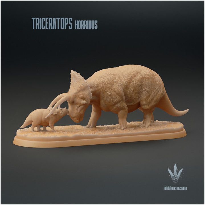 3D Printable Triceratops horridus : Three-horned Face by Miniature Museum
