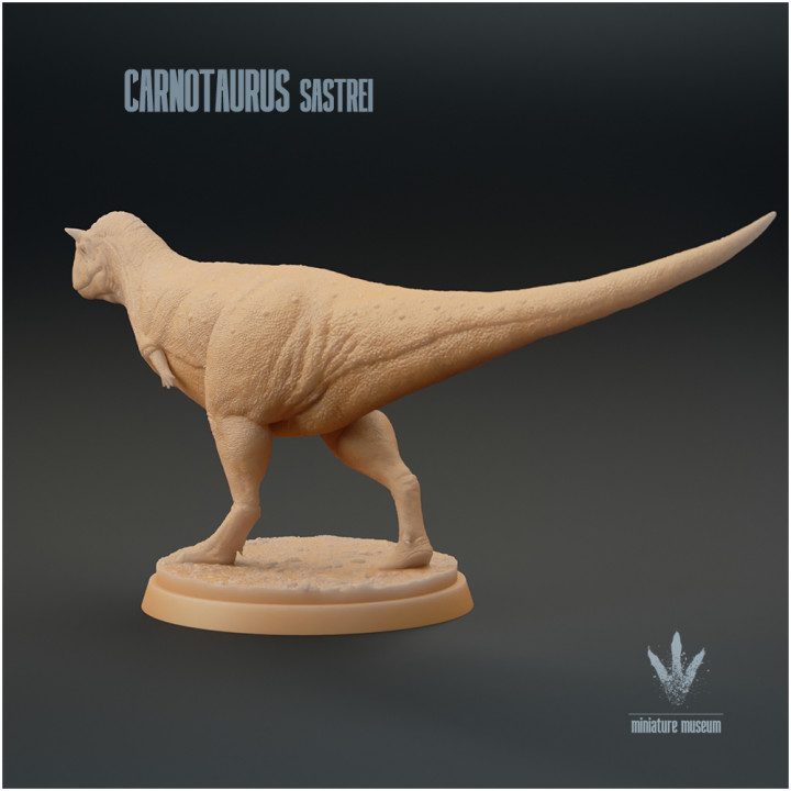 3D Printable Carnotaurus sastrei : The Meat Bull by Miniature Museum