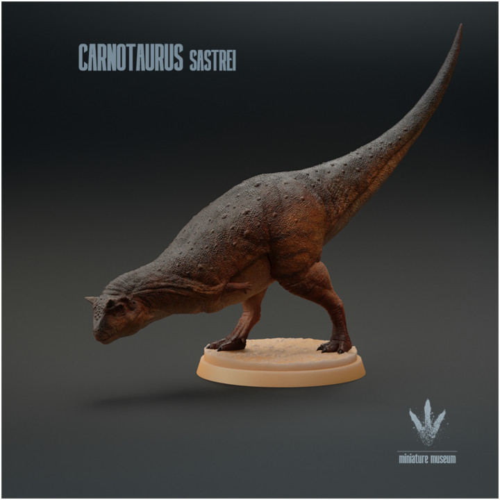 3D Printable Carnotaurus sastrei : Display by Miniature Museum