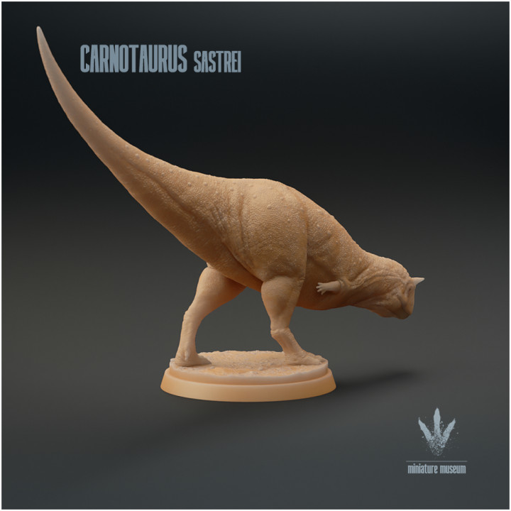 3D Printable Carnotaurus sastrei : Display by Miniature Museum