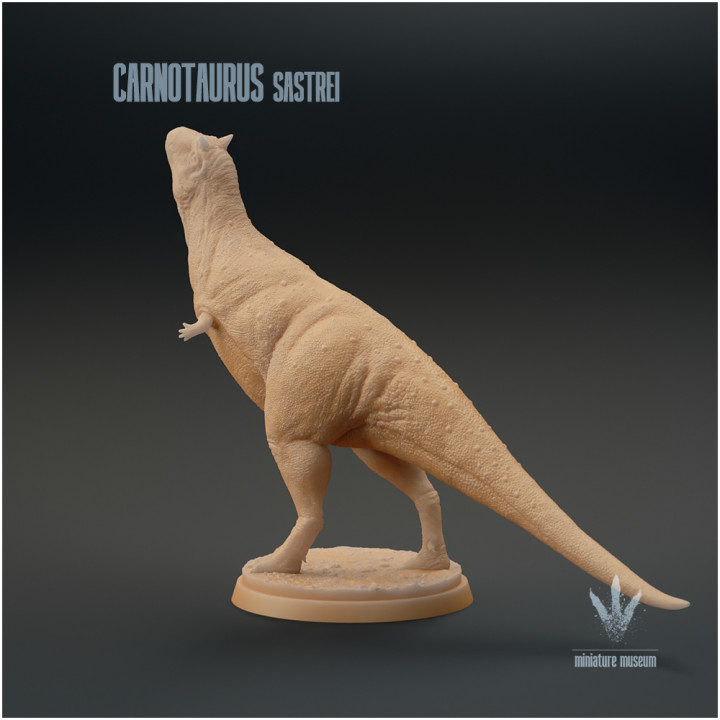 3D Printable Carnotaurus sastrei : Mating Dance by Miniature Museum