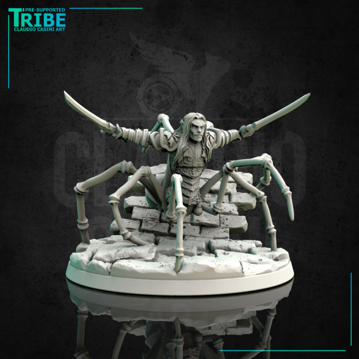 3D Printable (L 0023) Male drider dark elf with two swords by Claudio Casini Art