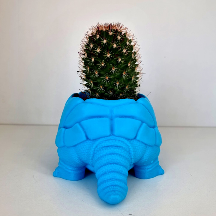 3D Printable Dicky Turtle Flowerpot B by iradj3d