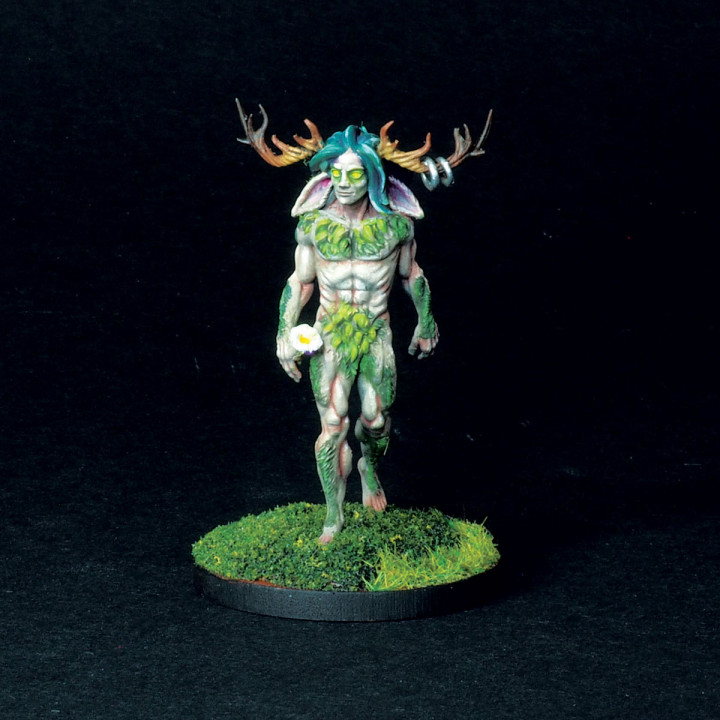 3D Printable Male dryad by La Louve 3D