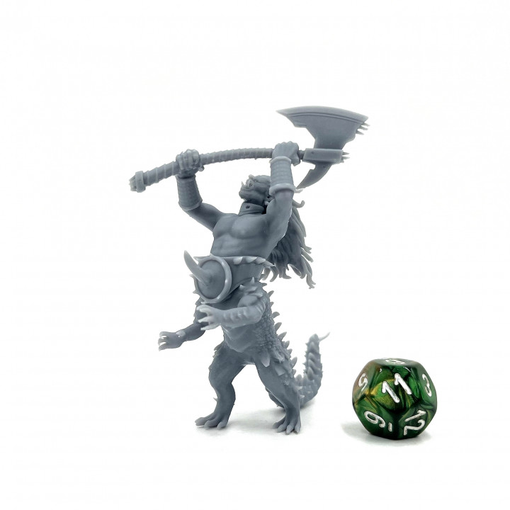 3D Printable Dragon Ogre Shaman by 2moronic miniatures