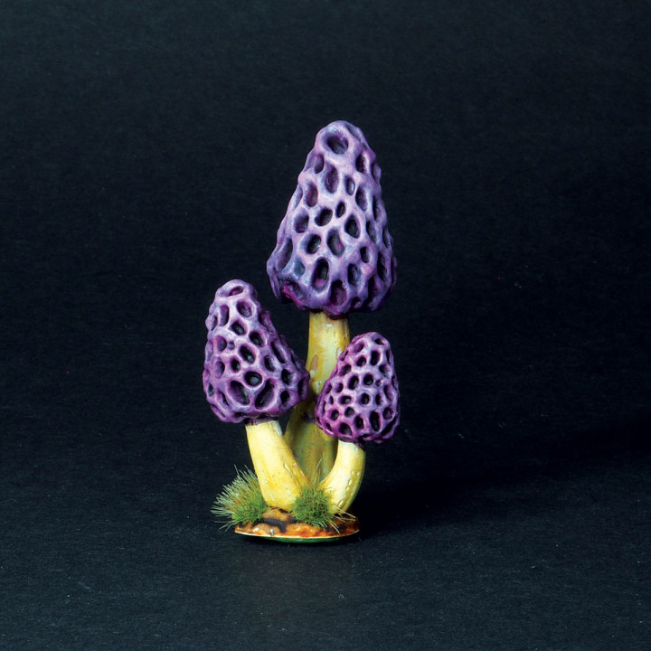 3D Printable Morel by La Louve 3D