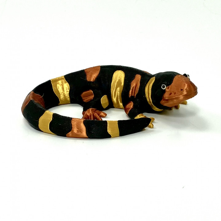 3D Printable Barred Tiger Salamander (multi colour model) by Louise ...